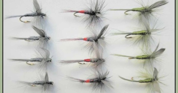 blue dun fishing fly, olive dun iron blue dun Troutflies UK